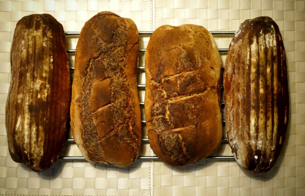 Chleb wiejski (2 bochenki) | Przepisane.pl - przepisy kuchni polskiej ...